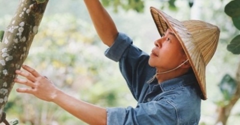 Chốn đi về 10.000 m2 của NSƯT Việt Hoàn sau ly hôn