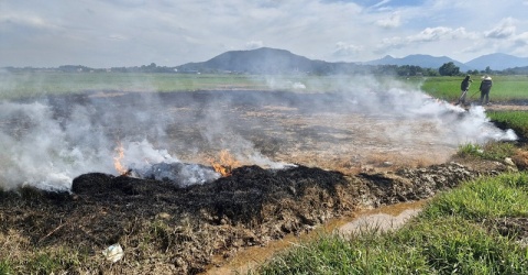 Hà Tĩnh: Khẩn trương cắt lúa, xử lý sự cố tràn dầu ra đồng ruộng