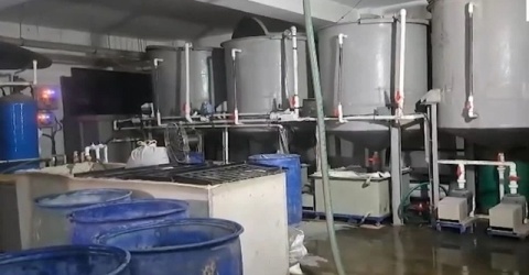 Bốn công nhân tử vong trong lúc vệ sinh bể tự hoại